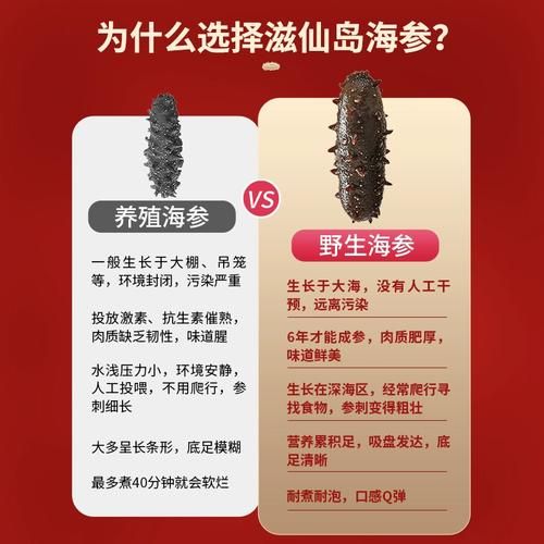 野生海参多少钱一斤_野生海参怎么挑选-第2张图片-山城妙识 野生海参多少钱一斤_野生海参怎么挑选-第2张图片-山城妙识