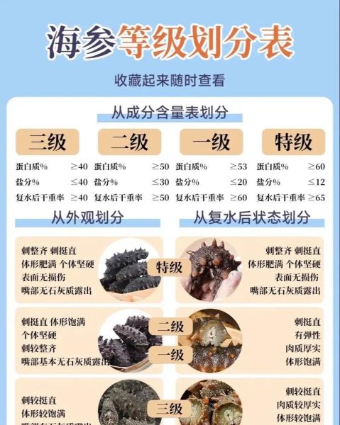 野生海参多少钱一斤_野生海参怎么挑选-第1张图片-山城妙识 野生海参多少钱一斤_野生海参怎么挑选-第1张图片-山城妙识