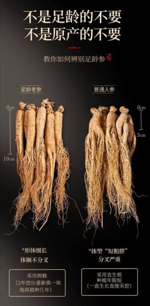 伊春特产批发市场在哪里_伊春山货批发价格是多少-第3张图片-山城妙识 伊春特产批发市场在哪里_伊春山货批发价格是多少-第3张图片-山城妙识