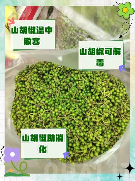山胡椒的功效与作用_山胡椒怎么吃最好-第1张图片-山城妙识