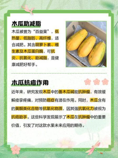 木瓜的功效与作用有哪些_木瓜怎么吃最营养-第3张图片-山城妙识