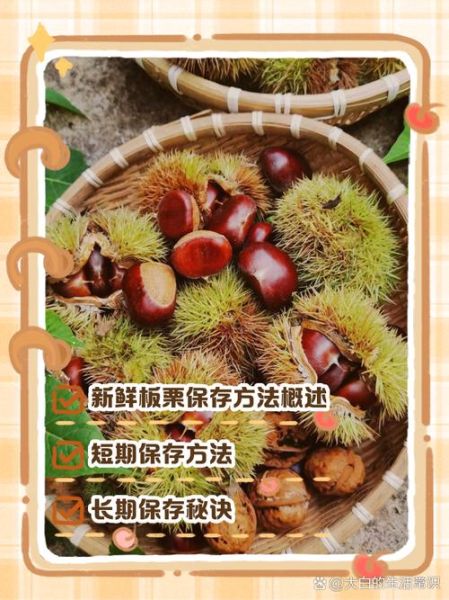 新鲜板栗怎么保存_板栗能放多久-第1张图片-山城妙识 新鲜板栗怎么保存_板栗能放多久-第1张图片-山城妙识