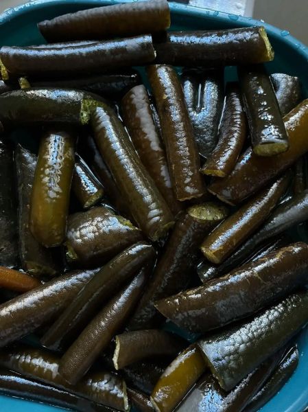 凉拌海笋怎么做才脆_海笋焯水几分钟最好-第3张图片-山城妙识 凉拌海笋怎么做才脆_海笋焯水几分钟最好-第3张图片-山城妙识