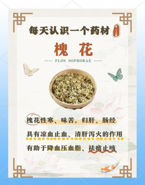 女人吃槐花有什么好处_槐花对女人有哪些功效-第2张图片-山城妙识 女人吃槐花有什么好处_槐花对女人有哪些功效-第2张图片-山城妙识