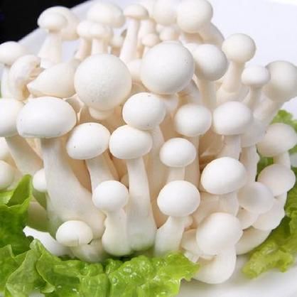 白玉菇和海鲜菇的区别_哪个更好吃-第3张图片-山城妙识