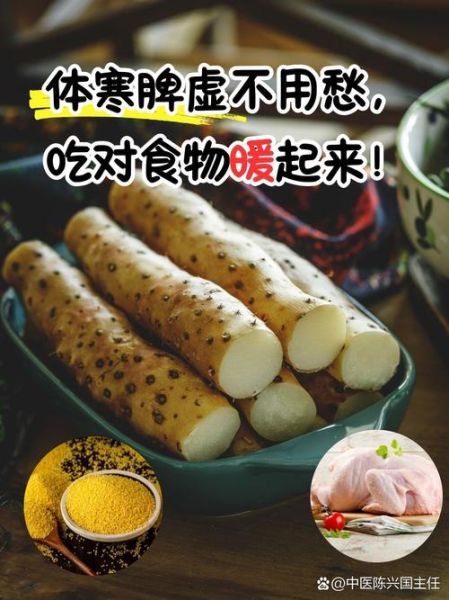 体寒吃什么调理_体寒吃什么食物好-第1张图片-山城妙识
