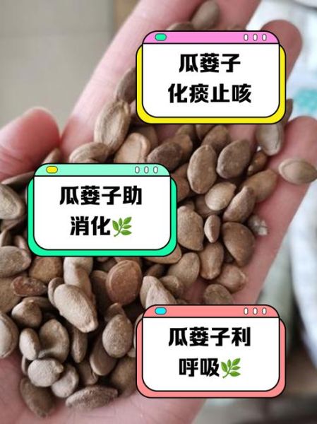 瓜蒌仁的副作用有哪些_哪些人不能吃-第1张图片-山城妙识