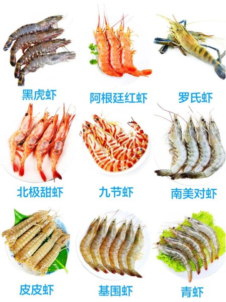 九节虾是海虾还是河虾_九节虾产地与习性全解析-第1张图片-山城妙识 九节虾是海虾还是河虾_九节虾产地与习性全解析-第1张图片-山城妙识