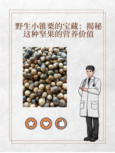 锥栗和板栗哪个营养价值高_锥栗与板栗的区别-第2张图片-山城妙识 锥栗和板栗哪个营养价值高_锥栗与板栗的区别-第2张图片-山城妙识