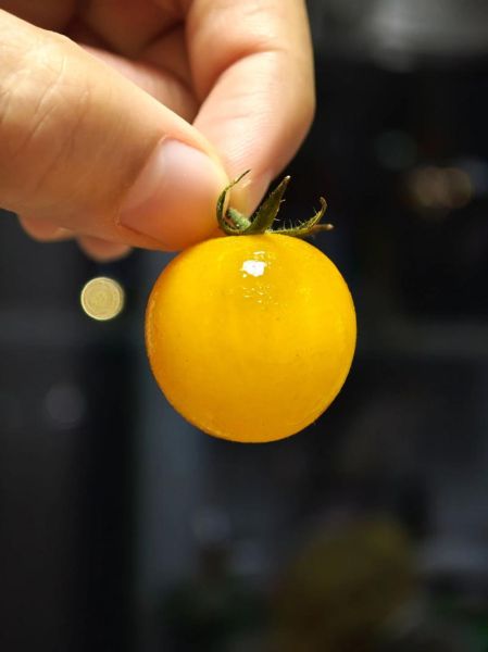 水煮青菜减肥法_多久能瘦-第3张图片-山城妙识