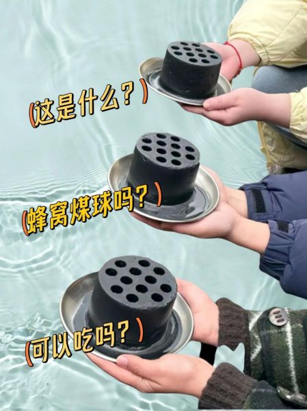 煤球蛋糕怎么做_煤球蛋糕做法窍门-第2张图片-山城妙识