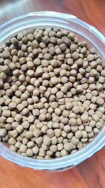 甲鱼胆汁怎么吃_甲鱼胆汁食用禁忌-第2张图片-山城妙识 甲鱼胆汁怎么吃_甲鱼胆汁食用禁忌-第2张图片-山城妙识