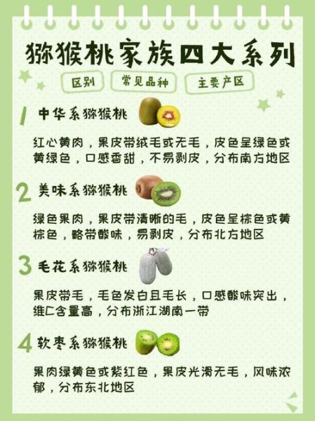 软枣猕猴桃怎么保存_软枣猕猴桃和奇异果区别-第1张图片-山城妙识 软枣猕猴桃怎么保存_软枣猕猴桃和奇异果区别-第1张图片-山城妙识