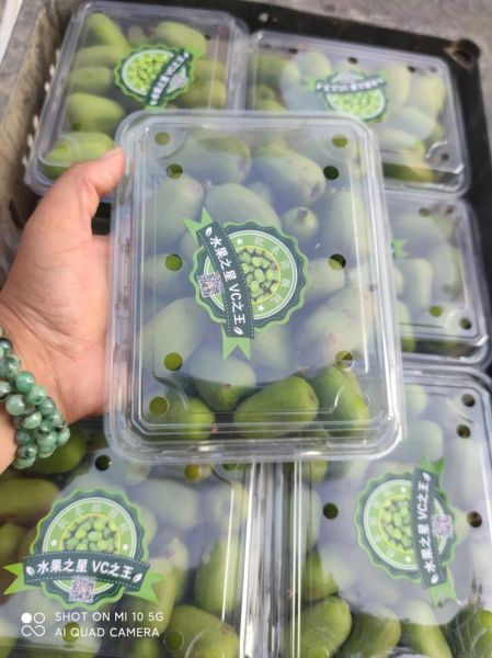 软枣猕猴桃怎么保存_软枣猕猴桃和奇异果区别-第2张图片-山城妙识 软枣猕猴桃怎么保存_软枣猕猴桃和奇异果区别-第2张图片-山城妙识