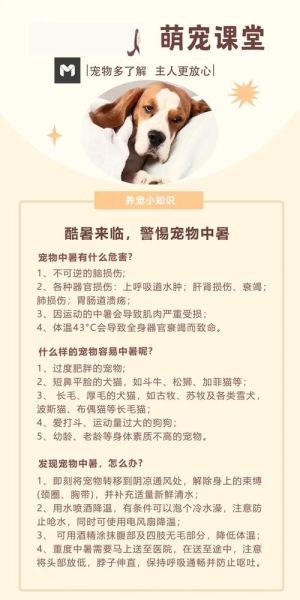 中暑了怎么办_中暑后如何快速恢复-第2张图片-山城妙识