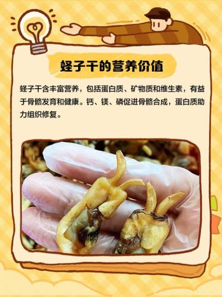 干蛏子肉怎么做好吃又简单_干蛏子肉的家常做法-第1张图片-山城妙识