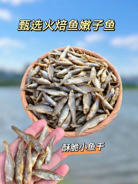 平江火焙鱼怎么做_平江火焙鱼哪里买最正宗-第3张图片-山城妙识 平江火焙鱼怎么做_平江火焙鱼哪里买最正宗-第3张图片-山城妙识