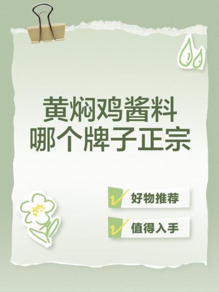 黄焖鸡酱料哪个牌子正宗_正宗黄焖鸡酱料品牌推荐-第3张图片-山城妙识