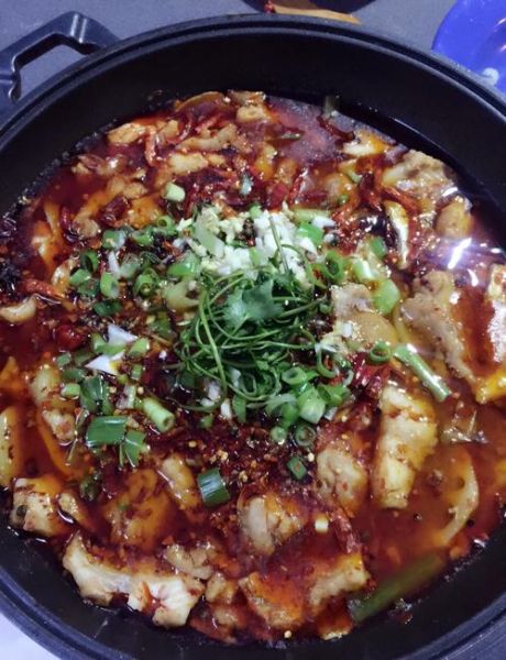 四川水煮鱼怎么做_正宗水煮鱼用什么鱼-第2张图片-山城妙识