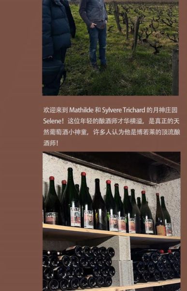 how_to_make_cherry_wine_at_home_what_is_cherry_wine-第1张图片-山城妙识