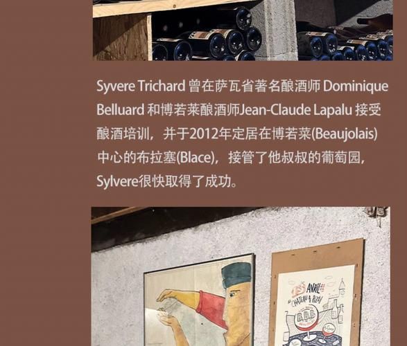 how_to_make_cherry_wine_at_home_what_is_cherry_wine-第3张图片-山城妙识