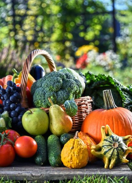 水果蔬菜图片大全有哪些_如何挑选高清无水印素材-第3张图片-山城妙识