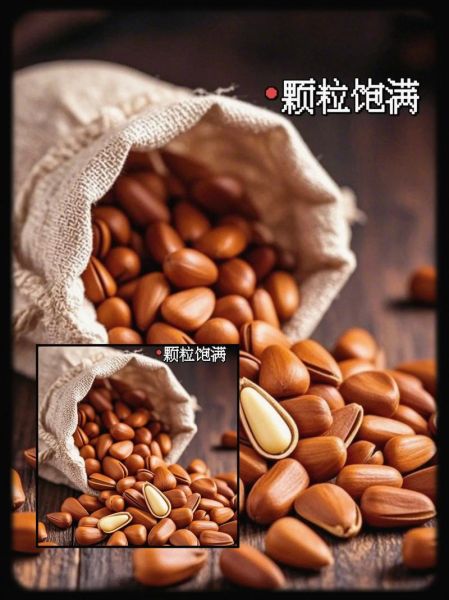 东北特产网店哪家好_正宗东北特产有哪些-第2张图片-山城妙识