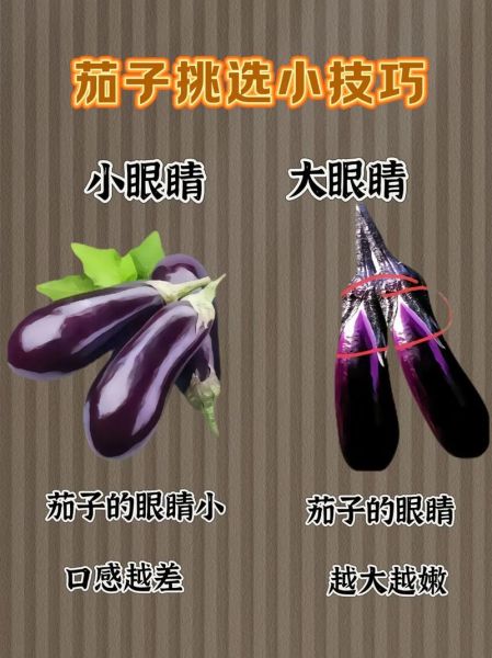 水果蔬菜图片大全有哪些_如何挑选高清无水印素材-第2张图片-山城妙识