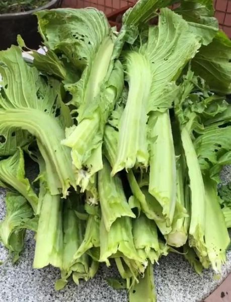 新鲜芥菜叶怎么做好吃_新鲜芥菜叶的做法大全-第1张图片-山城妙识