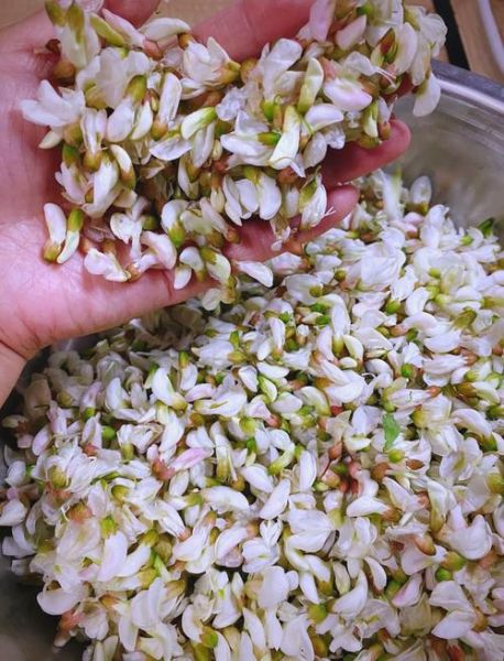 蒸槐花的功效与作用_孕妇能吃吗-第1张图片-山城妙识