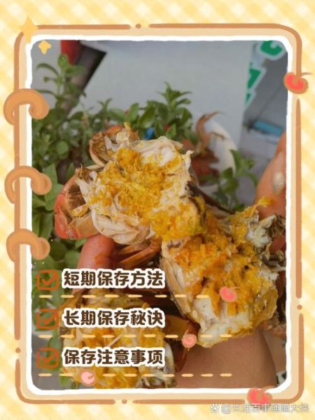 大闸蟹吃不完怎么保存_活蟹冷藏还是冷冻-第3张图片-山城妙识
