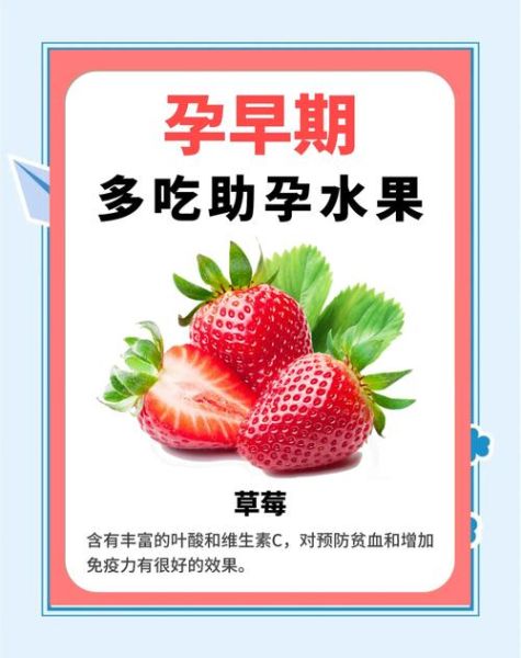 怀孕初期可以吃哪些水果_孕妇前三个月水果推荐-第2张图片-山城妙识