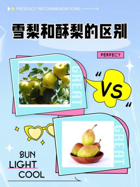 酥梨的功效与作用_酥梨和雪梨的区别-第1张图片-山城妙识 酥梨的功效与作用_酥梨和雪梨的区别-第1张图片-山城妙识