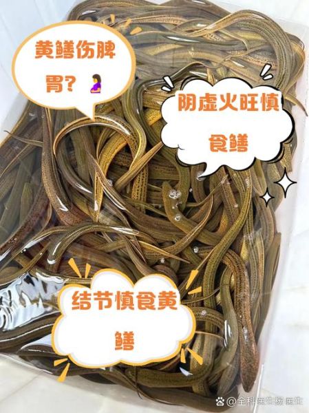 吃黄鳝的禁忌有哪些_黄鳝不能和什么一起吃-第1张图片-山城妙识