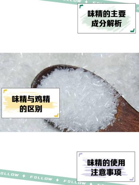 味精的主要成分是什么_味精吃多了有害吗-第1张图片-山城妙识