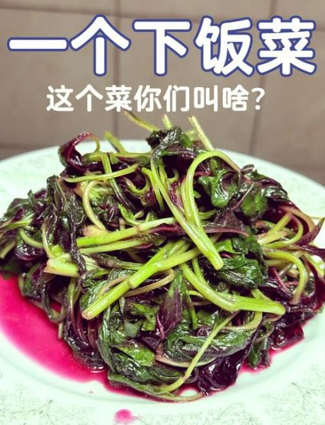 苋菜怎么做好吃_苋菜的功效与作用-第1张图片-山城妙识 苋菜怎么做好吃_苋菜的功效与作用-第1张图片-山城妙识