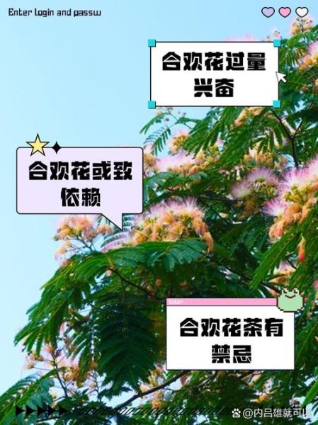 合欢花能治失眠吗_合欢花泡水喝的禁忌-第1张图片-山城妙识