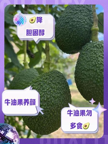 牛油果禁忌人群有哪些_牛油果过敏能吃吗-第1张图片-山城妙识