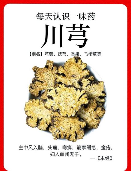川芎治头痛怎么吃_川芎活血化瘀的用法-第1张图片-山城妙识