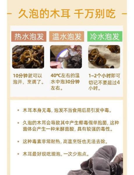 黑木耳的功效与作用禁忌_什么人不能吃-第1张图片-山城妙识 黑木耳的功效与作用禁忌_什么人不能吃-第1张图片-山城妙识