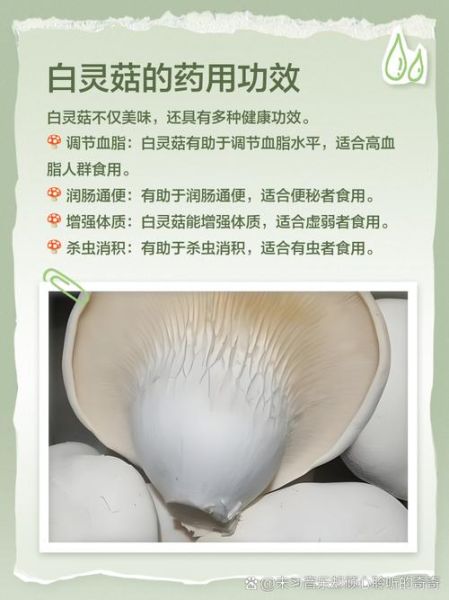 百灵菇怎么做好吃_百灵菇营养价值高吗-第3张图片-山城妙识