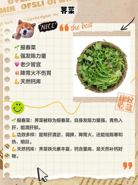 春季时令蔬菜有哪些_春季养生菜谱推荐-第2张图片-山城妙识