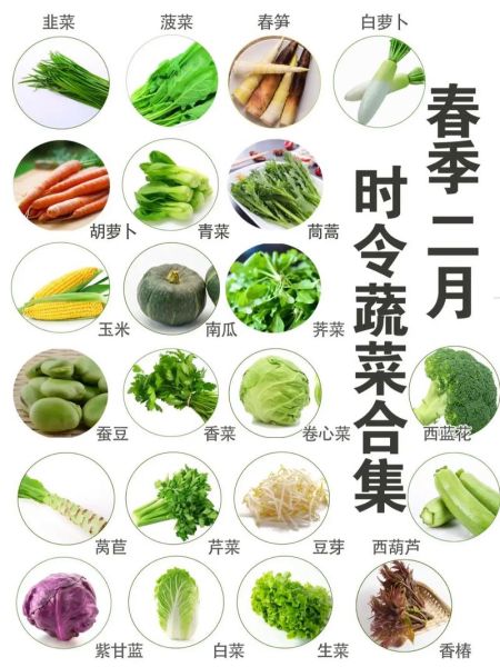 春季时令蔬菜有哪些_春季养生菜谱推荐-第3张图片-山城妙识