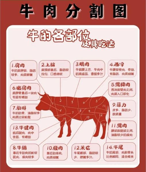 生牛肉多少钱一斤_生牛肉价格影响因素-第3张图片-山城妙识 生牛肉多少钱一斤_生牛肉价格影响因素-第3张图片-山城妙识