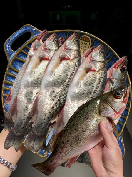 冷冻海鲈鱼怎么做好吃_冷冻海鲈鱼的家常做法-第2张图片-山城妙识 冷冻海鲈鱼怎么做好吃_冷冻海鲈鱼的家常做法-第2张图片-山城妙识