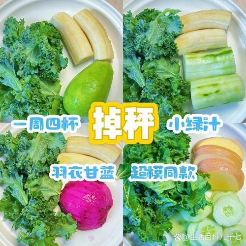 减肥蔬菜汁的做法_怎么搭配最减脂-第3张图片-山城妙识 减肥蔬菜汁的做法_怎么搭配最减脂-第3张图片-山城妙识