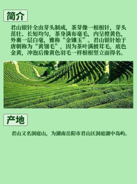 君山银针属于什么茶_君山银针是绿茶还是黄茶-第2张图片-山城妙识 君山银针属于什么茶_君山银针是绿茶还是黄茶-第2张图片-山城妙识