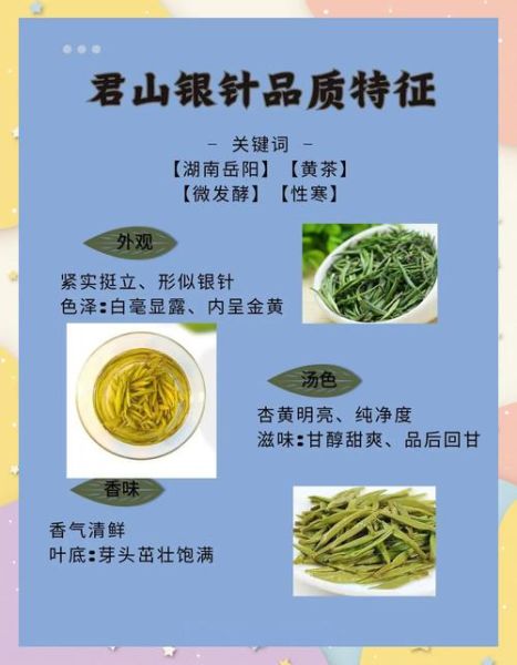 君山银针属于什么茶_君山银针是绿茶还是黄茶-第3张图片-山城妙识 君山银针属于什么茶_君山银针是绿茶还是黄茶-第3张图片-山城妙识