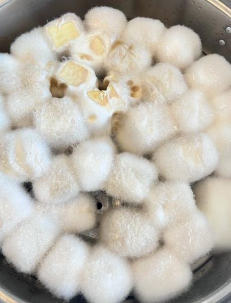 在家怎么做豆腐乳_自制豆腐乳发霉了怎么办-第1张图片-山城妙识