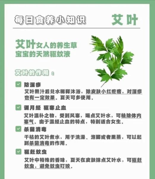 艾草的功效与作用_艾草泡脚的正确方法-第2张图片-山城妙识